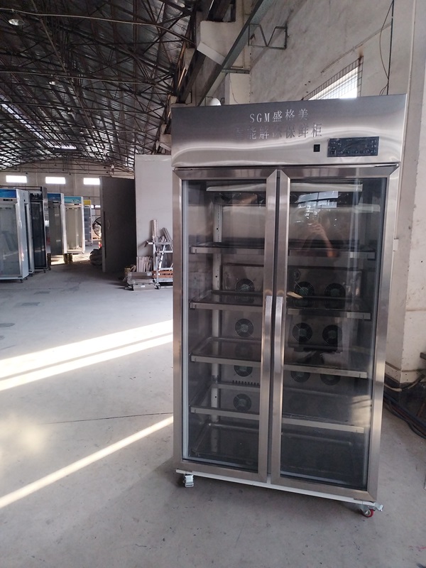 Meat Thawing Cabinet Stainless Steel Automatic Defrosting Cabinet